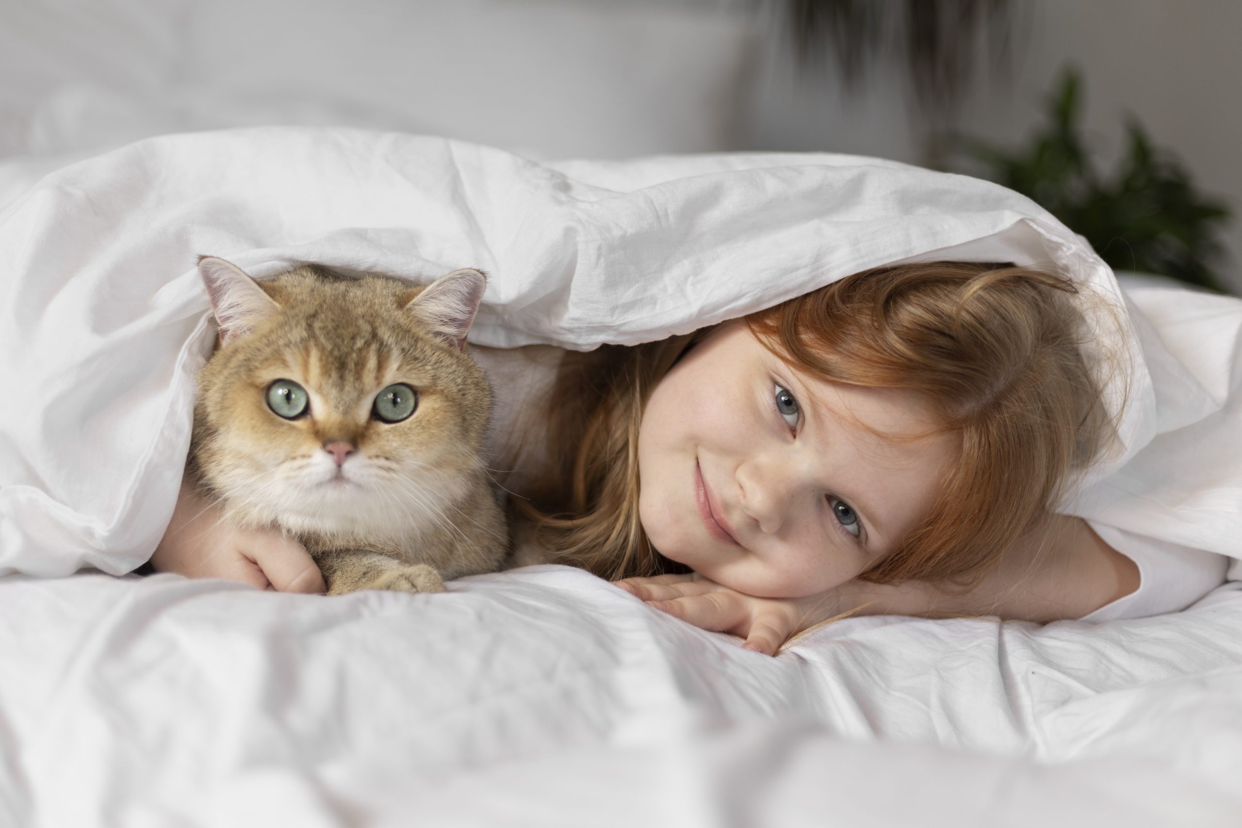 Children and cats together in the home - Avid's Angels Cat Rescue