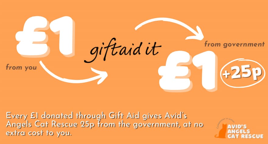 Gift Aid - Avid's Angels Cat Rescue